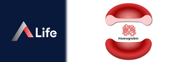Hemoglobin Nedir? | A Life