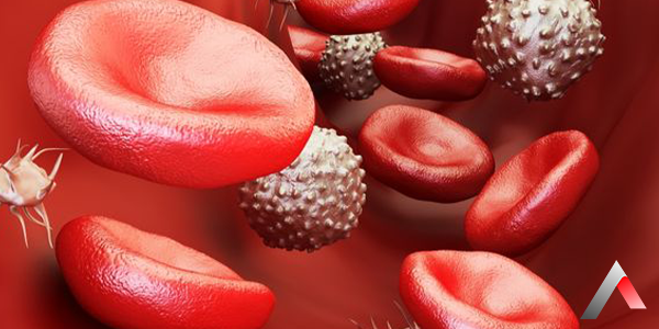 LYM Düşüklüğü | A Life Sağlık Grubu